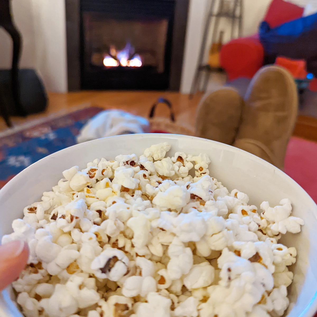 Variety Popcorn Pack - 19 Little Corny Size Bags – Karen's Artisan Popcorn